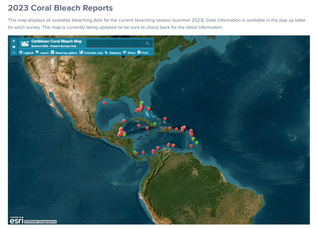 Recent AGRRA Webinars examine Coral Bleaching, Invasive Soft Coral ...