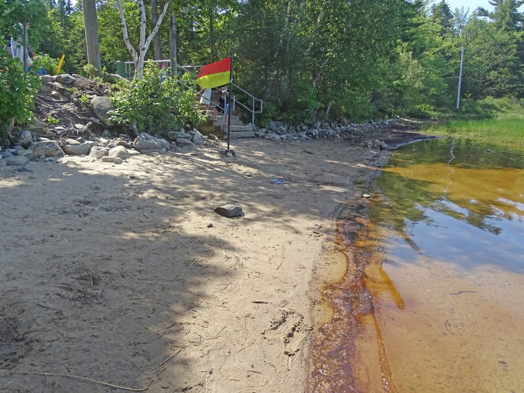 On the State of Sandy Lake in early 2021 | Sandy Lake & Environs ...