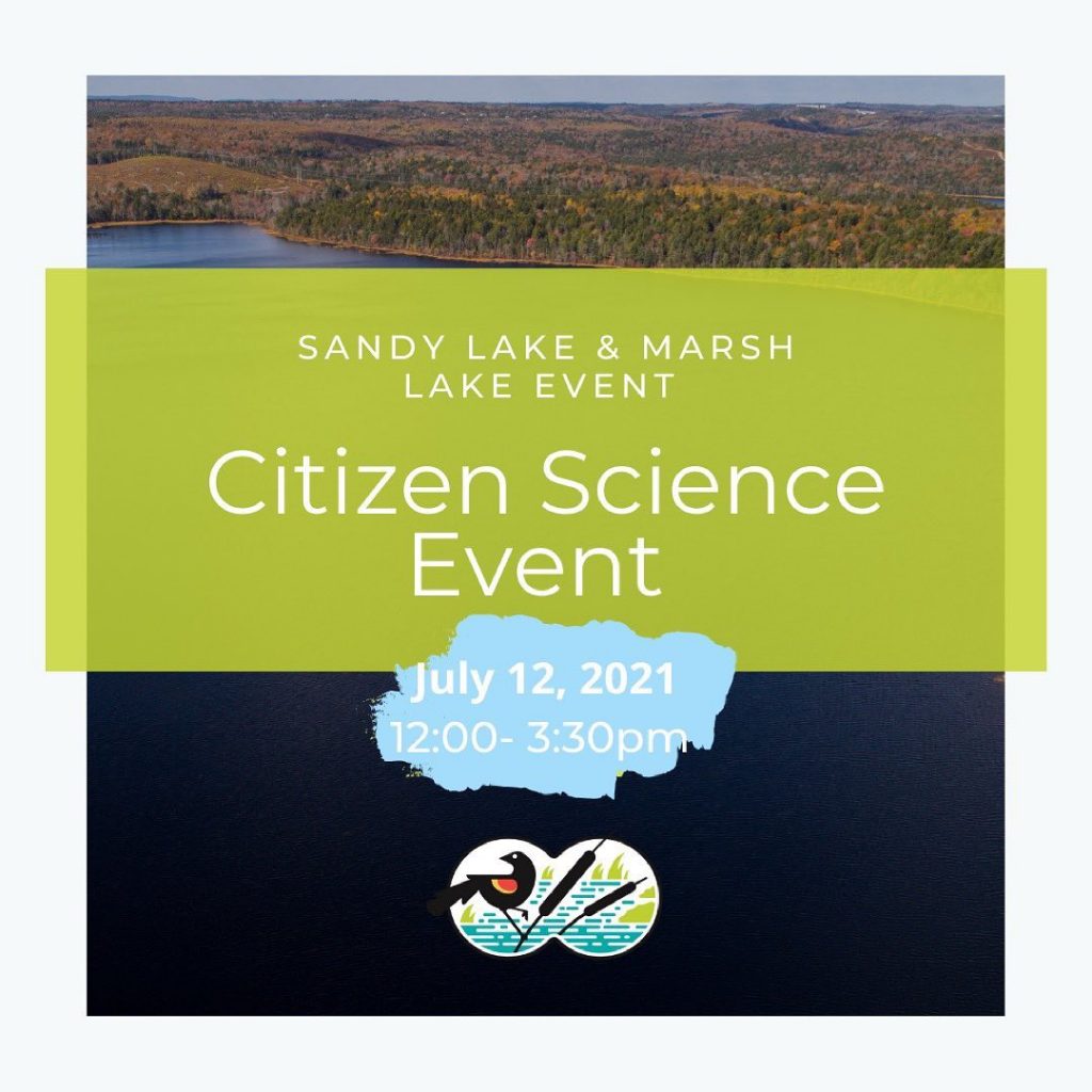 Forests and surface waters of Sandy Lake & Environs (Bedford, Nova ...