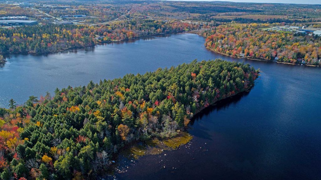 Forests and surface waters of Sandy Lake & Environs (Bedford, Nova ...