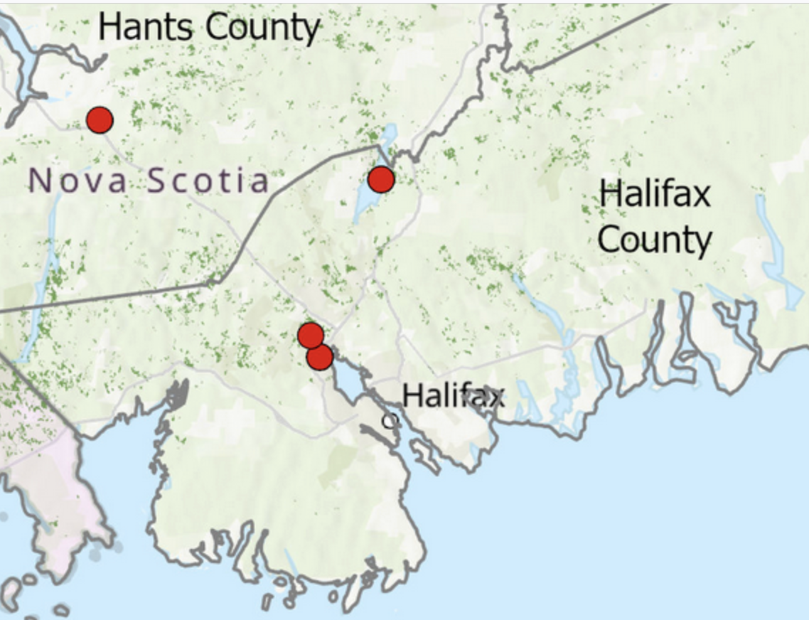 Hemlock Wooly Adelgid | Sandy Lake & Environs (Bedford, Nova Scotia)